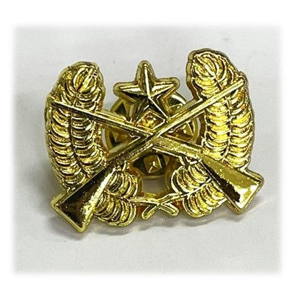 1128894 DSB Gold Pin Badge — G MILITARY