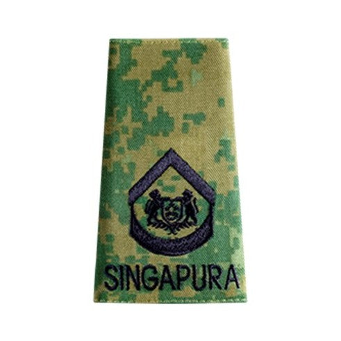 2ND WARRANT OFFICER, 2WO Army No.4 Rank — G MILITARY