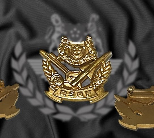 Air Defence Systems Specialist Badge — G MILITARY